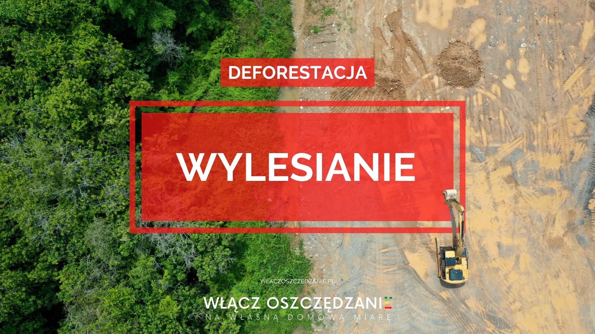 Wylesianie (deforestacja) | Włącz oszczędzanie