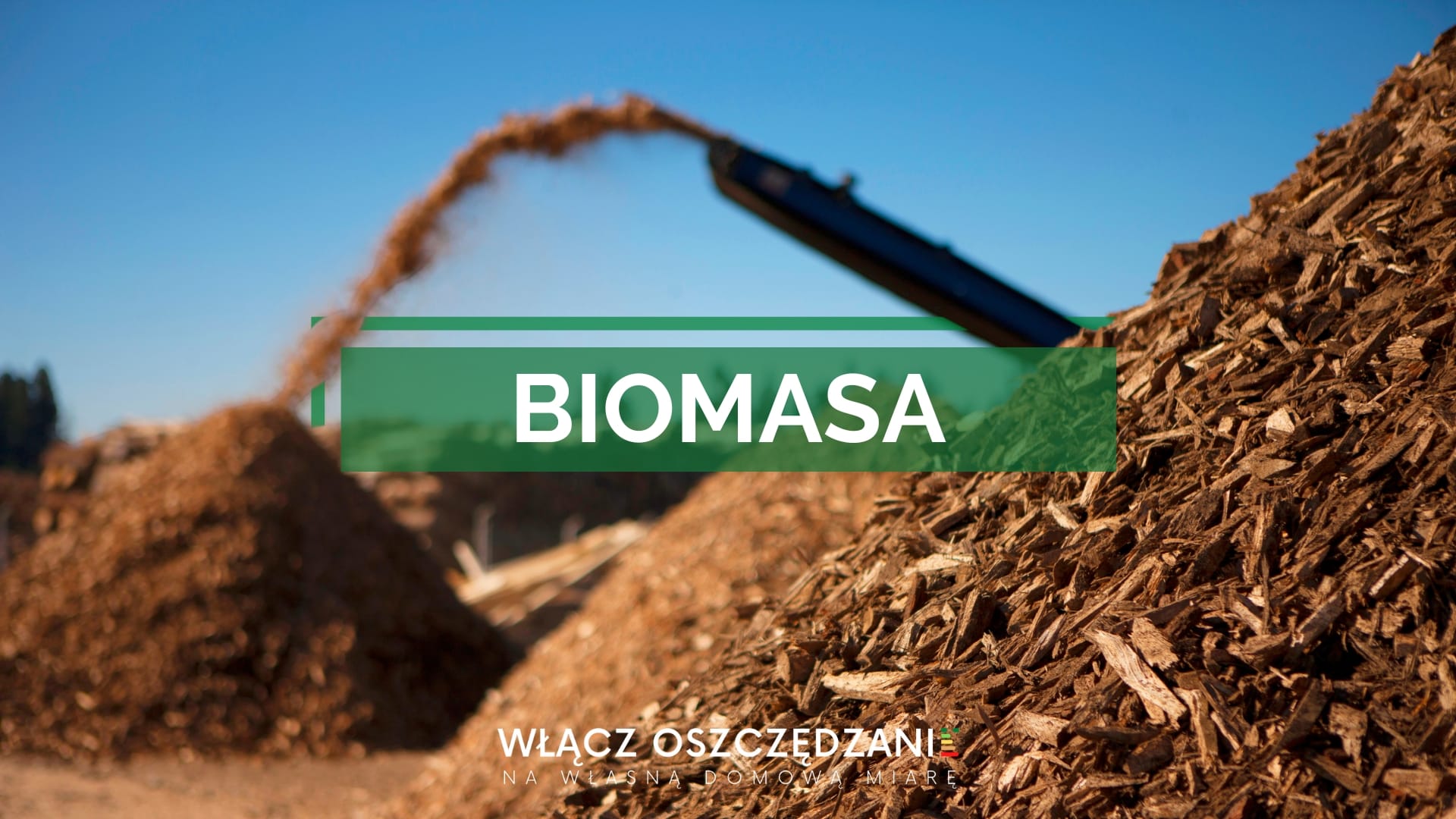 Biomasa | Włącz oszczędzanie
